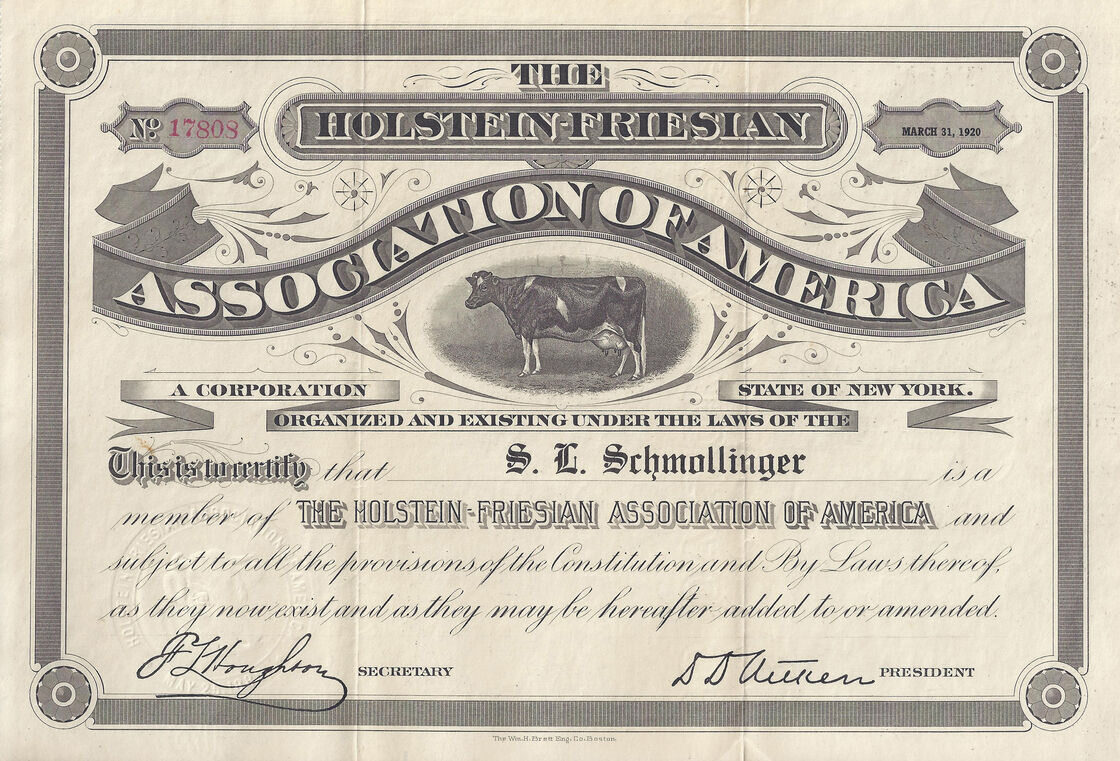 Registered Holsteins - Rolling Lawns Farm